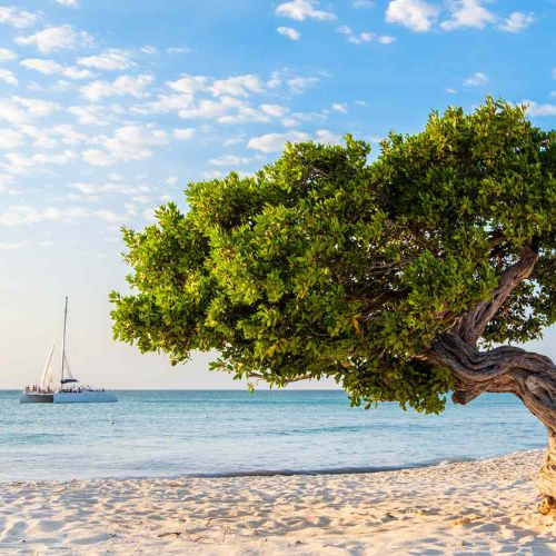 Winter Honeymoon Destinations for 2025 | Vacationisms Travel Services