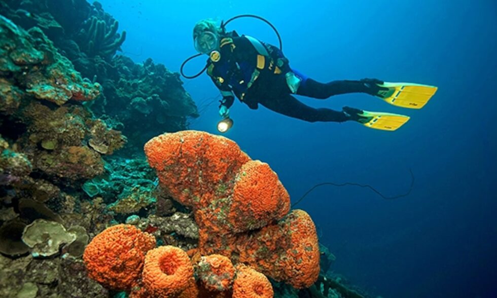 Best Scuba Diving Destinations in the Caribbean | Vacationisms Travel ...