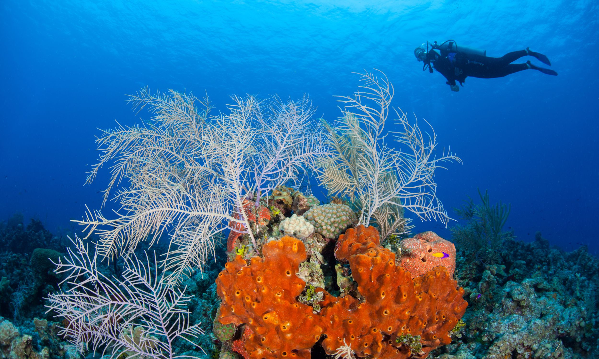 Best Group Trips: the Ultimate Guide | Vacationisms Travel Services