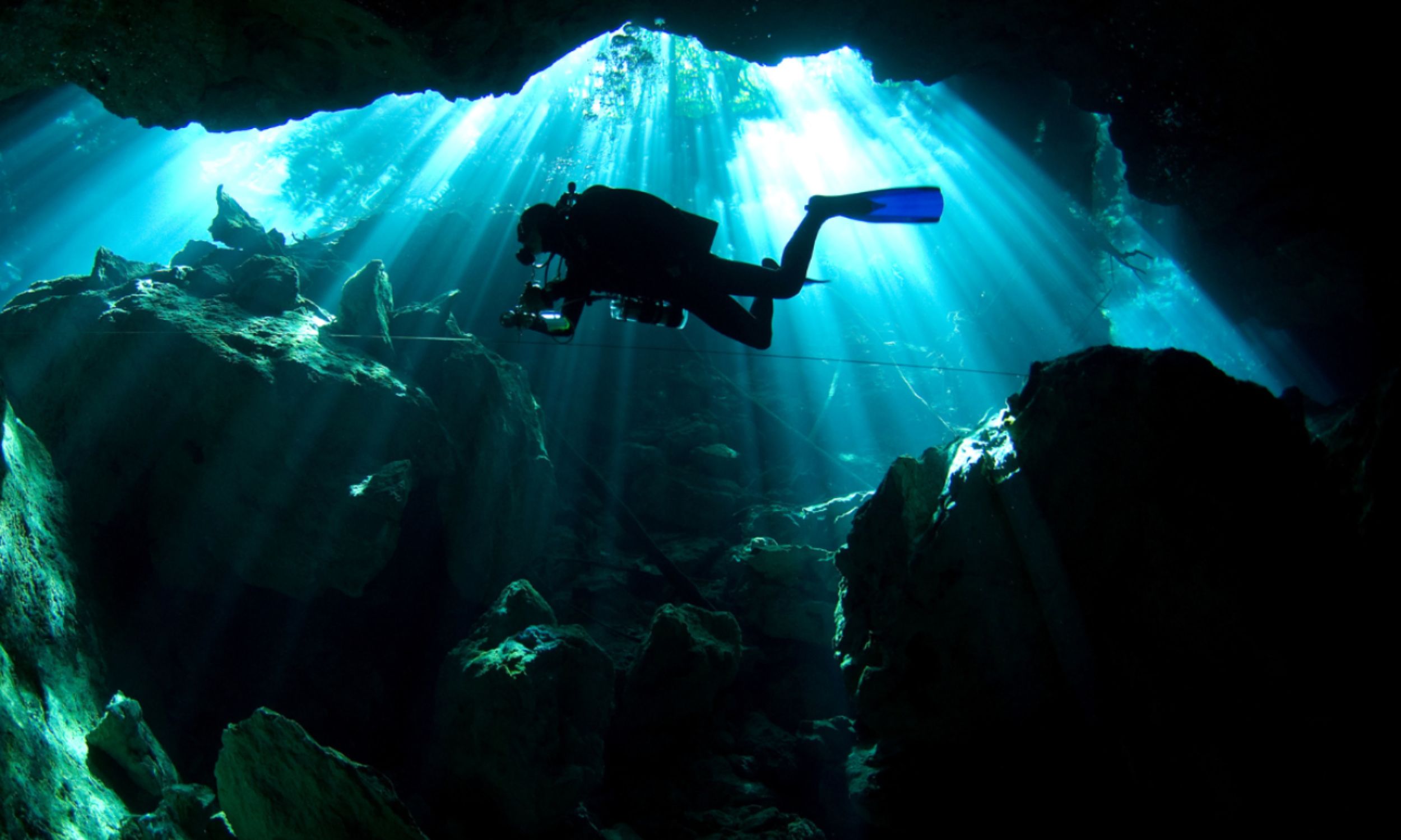 The Ultimate Guide to Scuba Diving Group Trips | Vacationisms Travel ...
